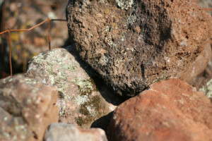 Stone – Ciardellas's Garden Supply, Inc. ( togarden.com)